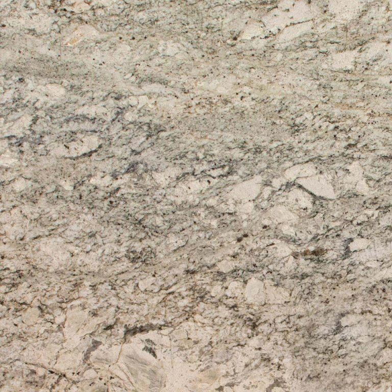 White Reef Leather - Tampa Bay Marble and Granite