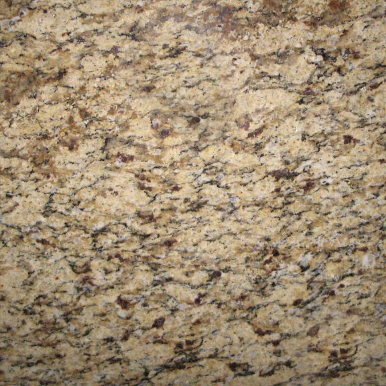 White Reef Leather - Tampa Bay Marble and Granite