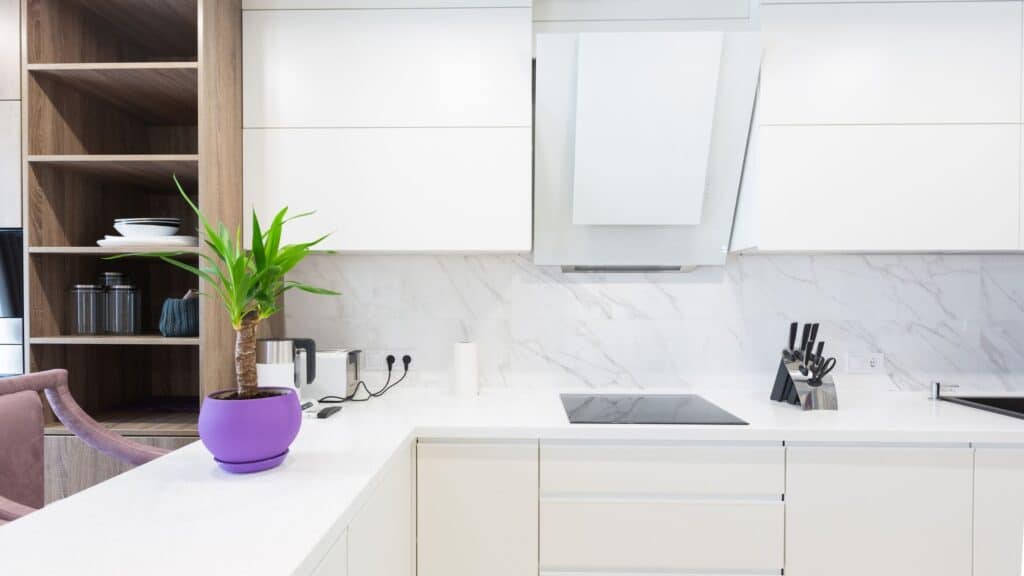 Celebrate with Vibrant Green: Get a Kitchen Countertop Replacement to ...